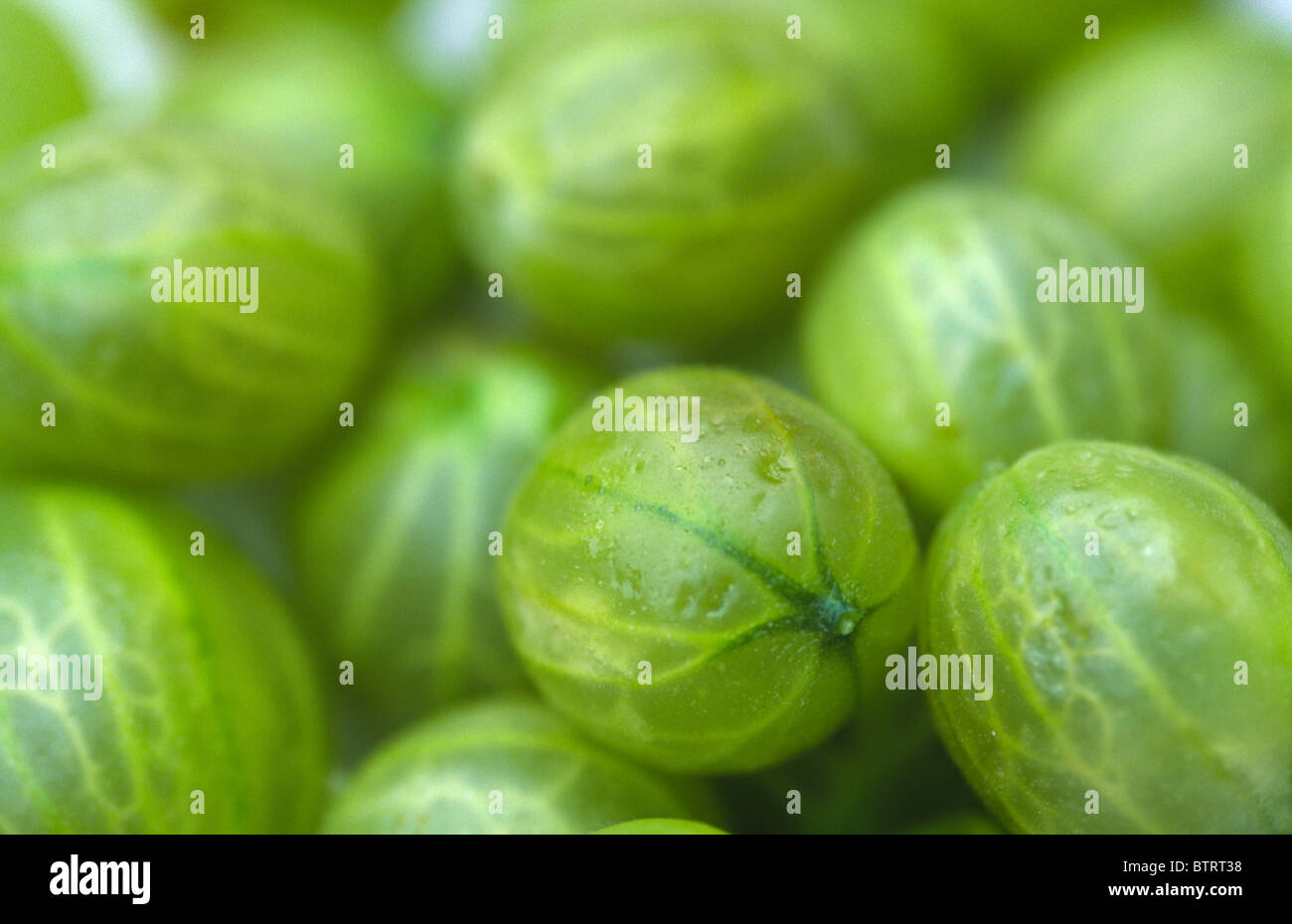 Sharp tangy sour fruit hi-res stock photography and images - Alamy