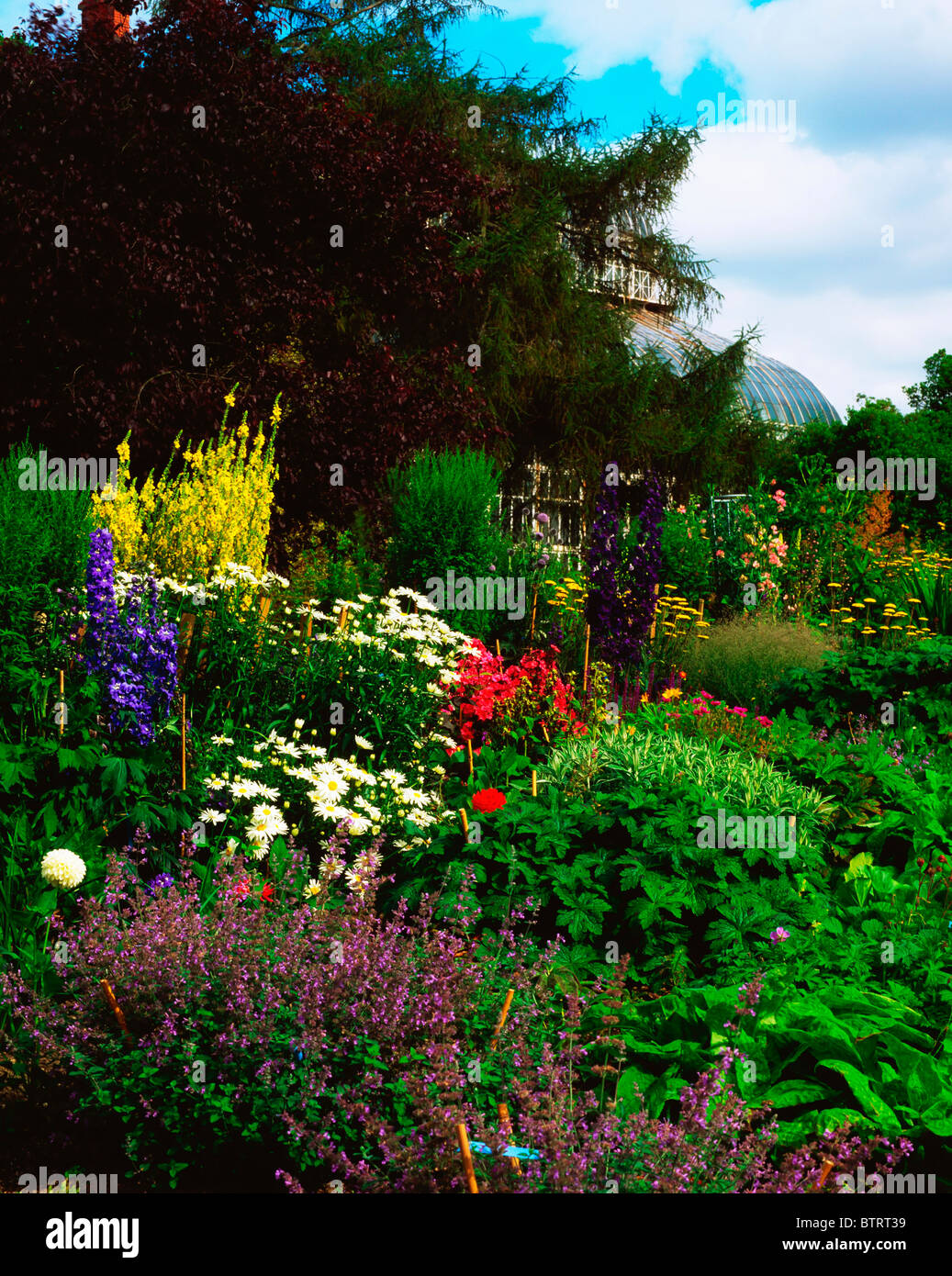 Irish National Botanic Gardens, Dublin, Co Dublin, Ireland; Garden ...