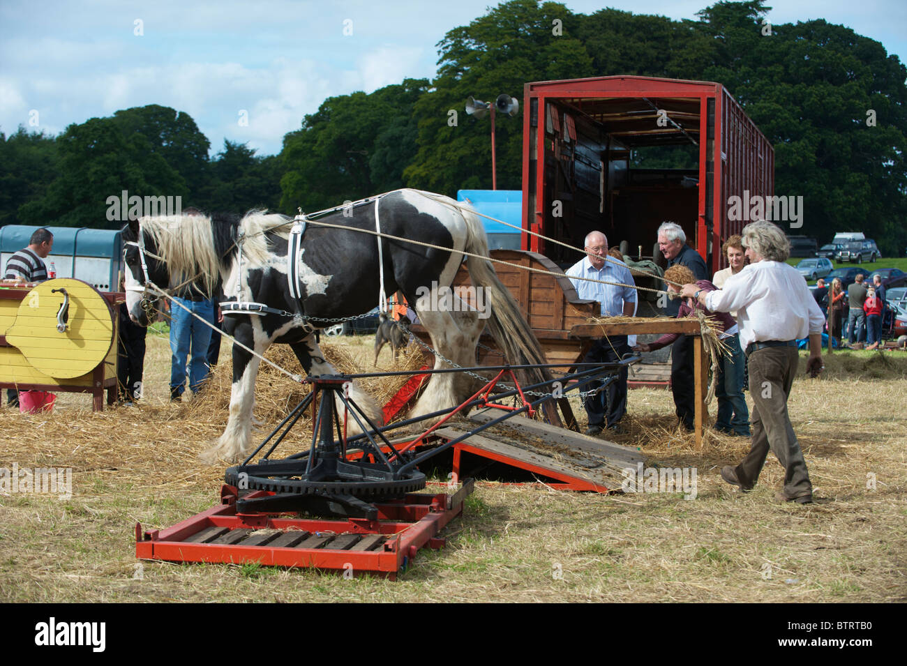 People operating a horse powered mechanical thrashing machine in ...