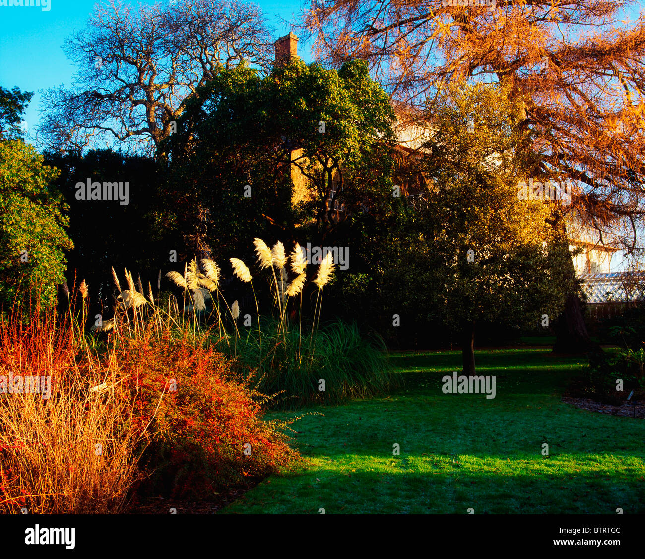 Irish National Botanic Gardens, Dublin, Co Dublin, Ireland Stock Photo ...