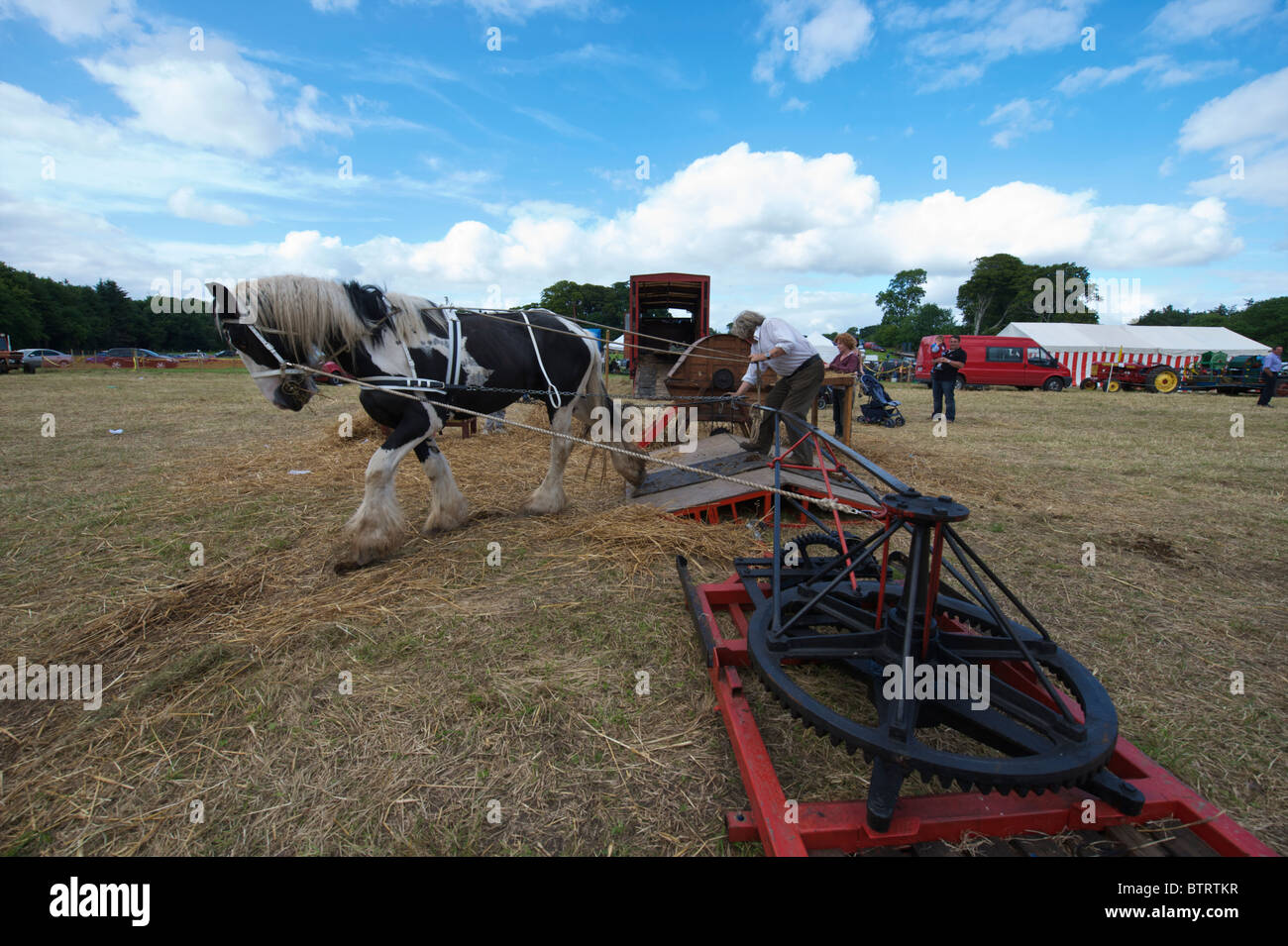 People operating a horse powered mechanical thrashing machine in ...
