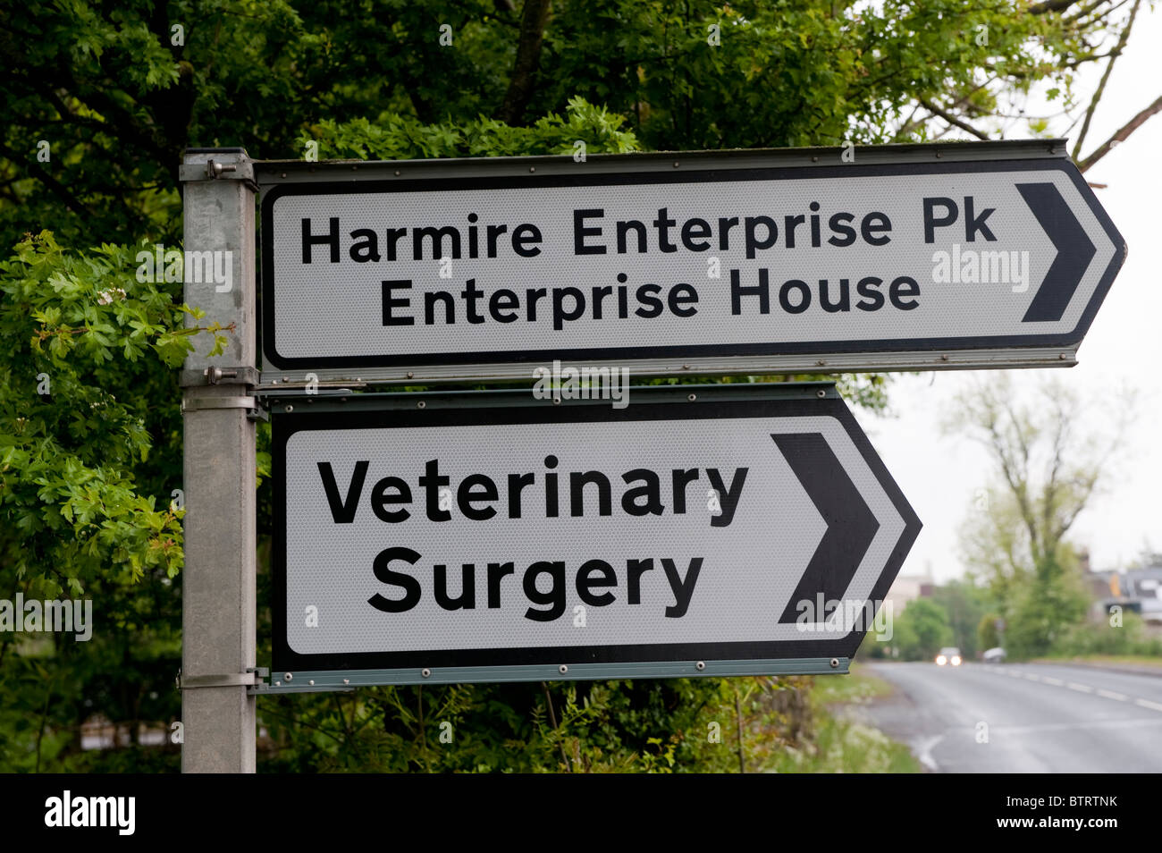 Road sign directing way to veterinary surgery Stock Photo - Alamy