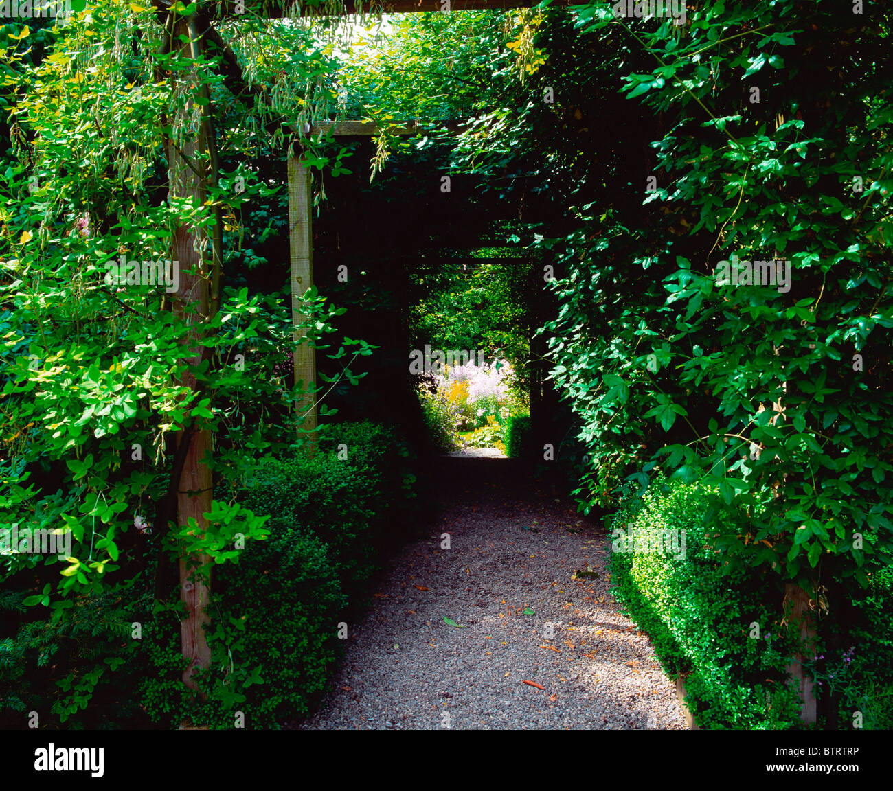 Butterstream Gardens, Co Meath, Ireland; Phlox And Pergola In A Garden ...