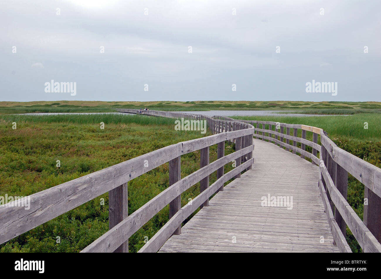 dune trail in greenwich, prince edward island, national park Stock Photo - Alamy