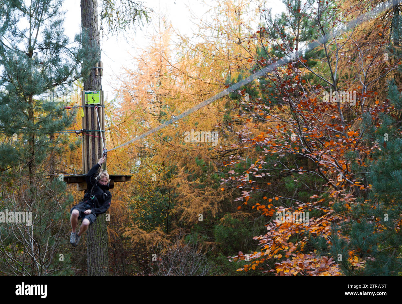 Go Ape Outdoor Pursuits Course - Wendover Woods - Buckinghamshire Stock ...