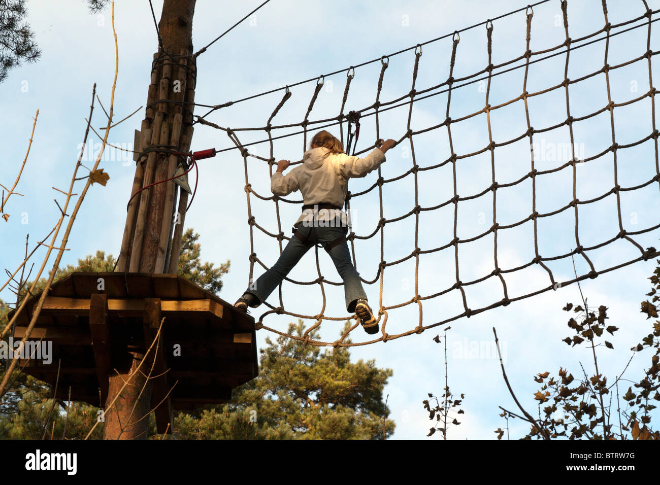 Go Ape Outdoor Pursuits Course - Wendover Woods - Buckinghamshire Stock ...