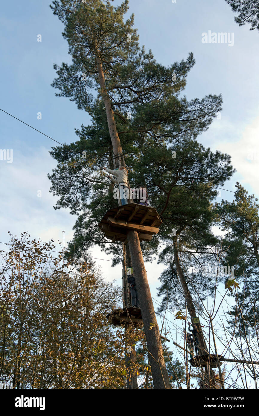 Go Ape Outdoor Pursuits Course - Wendover Woods - Buckinghamshire Stock ...