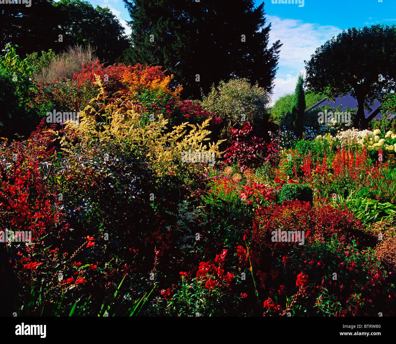 Sandford Road, Dublin, Co Dublin, Ireland; Herbaceous Border Stock ...