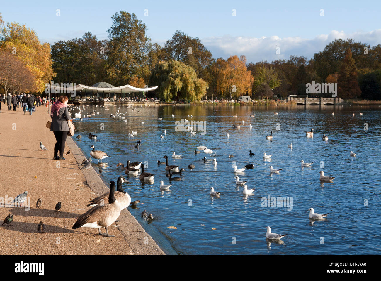 Serpentine lake - Hyde Park - London Stock Photo - Alamy