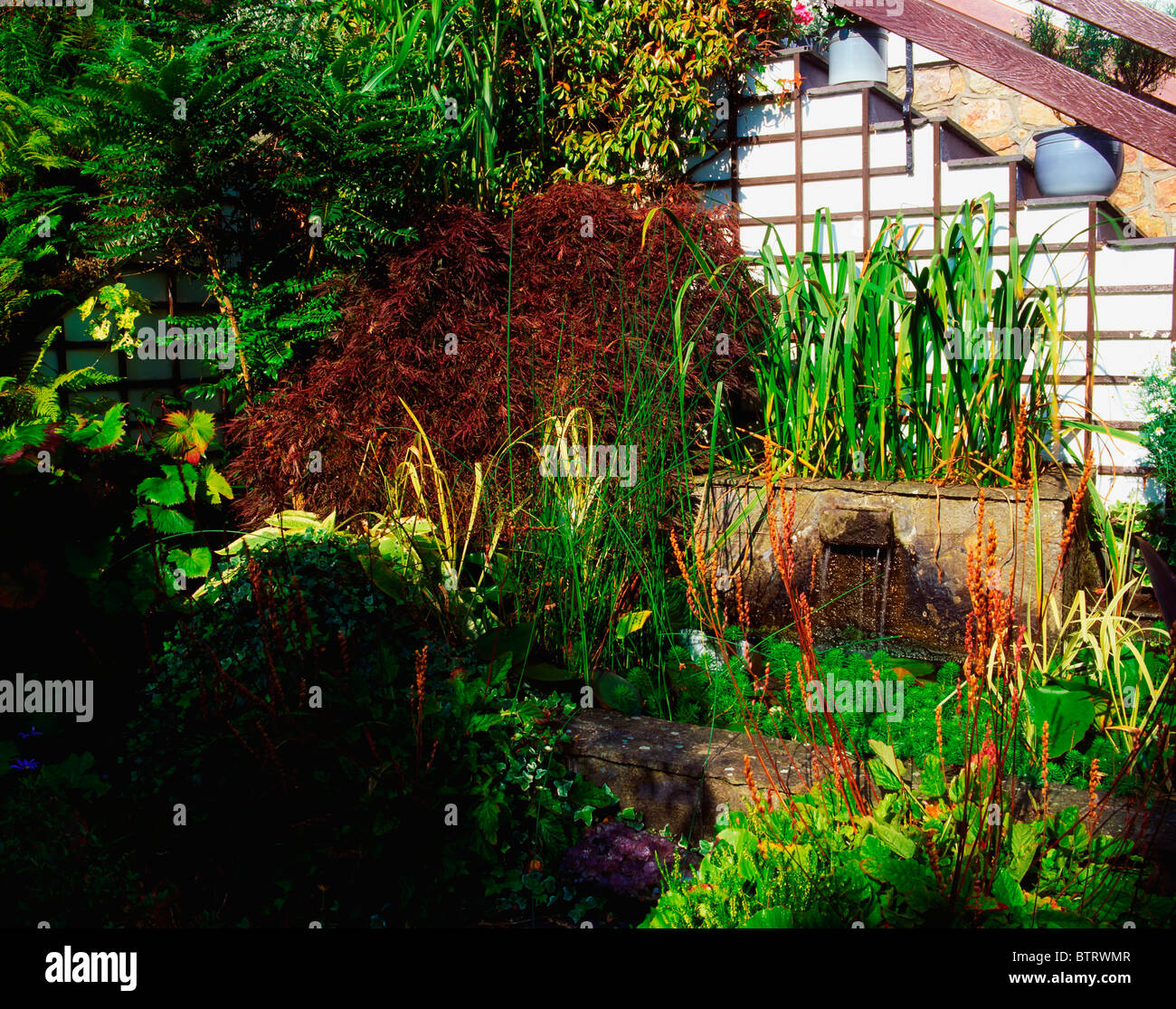 Hethersett, Co Wexford, Ireland; Informal Planting And Pond Stock Photo ...