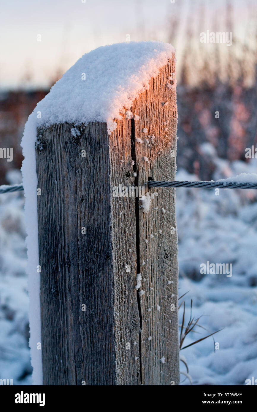 Frost on fence hi-res stock photography and images - Alamy