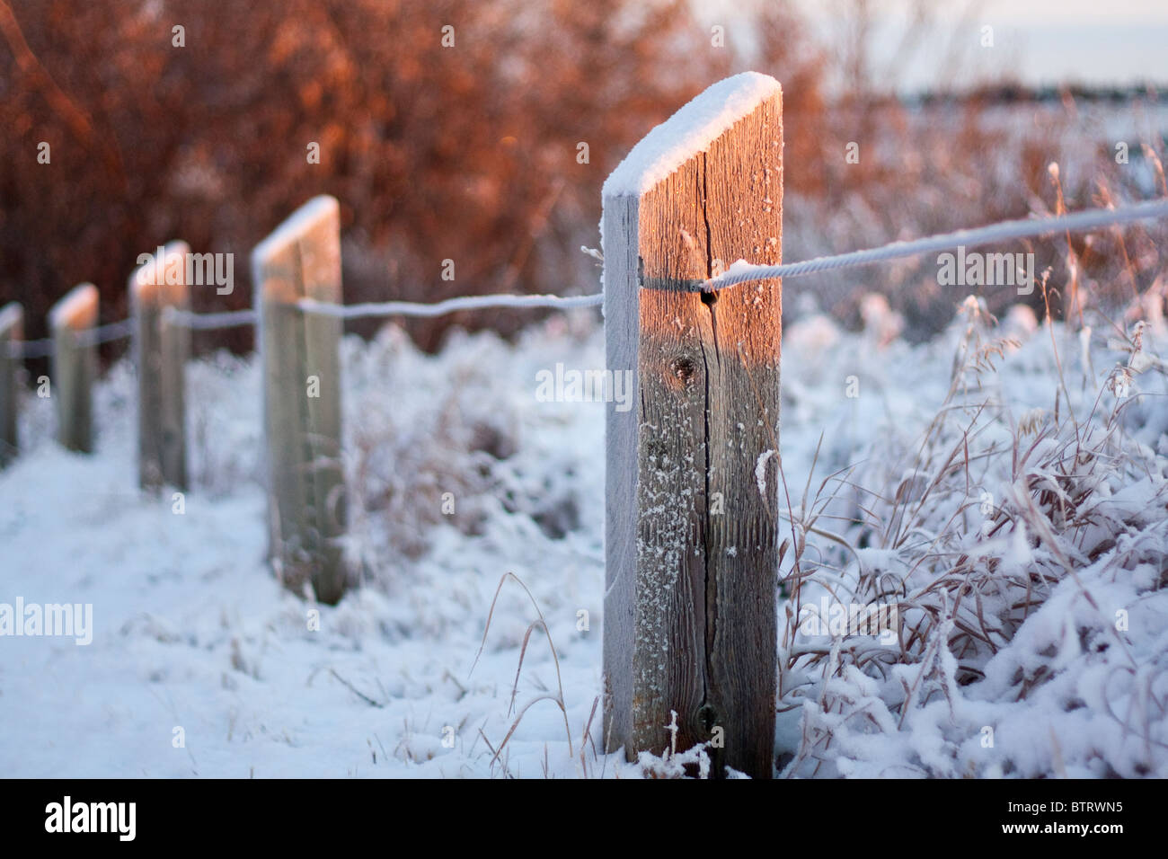 Frost fence hi-res stock photography and images - Alamy