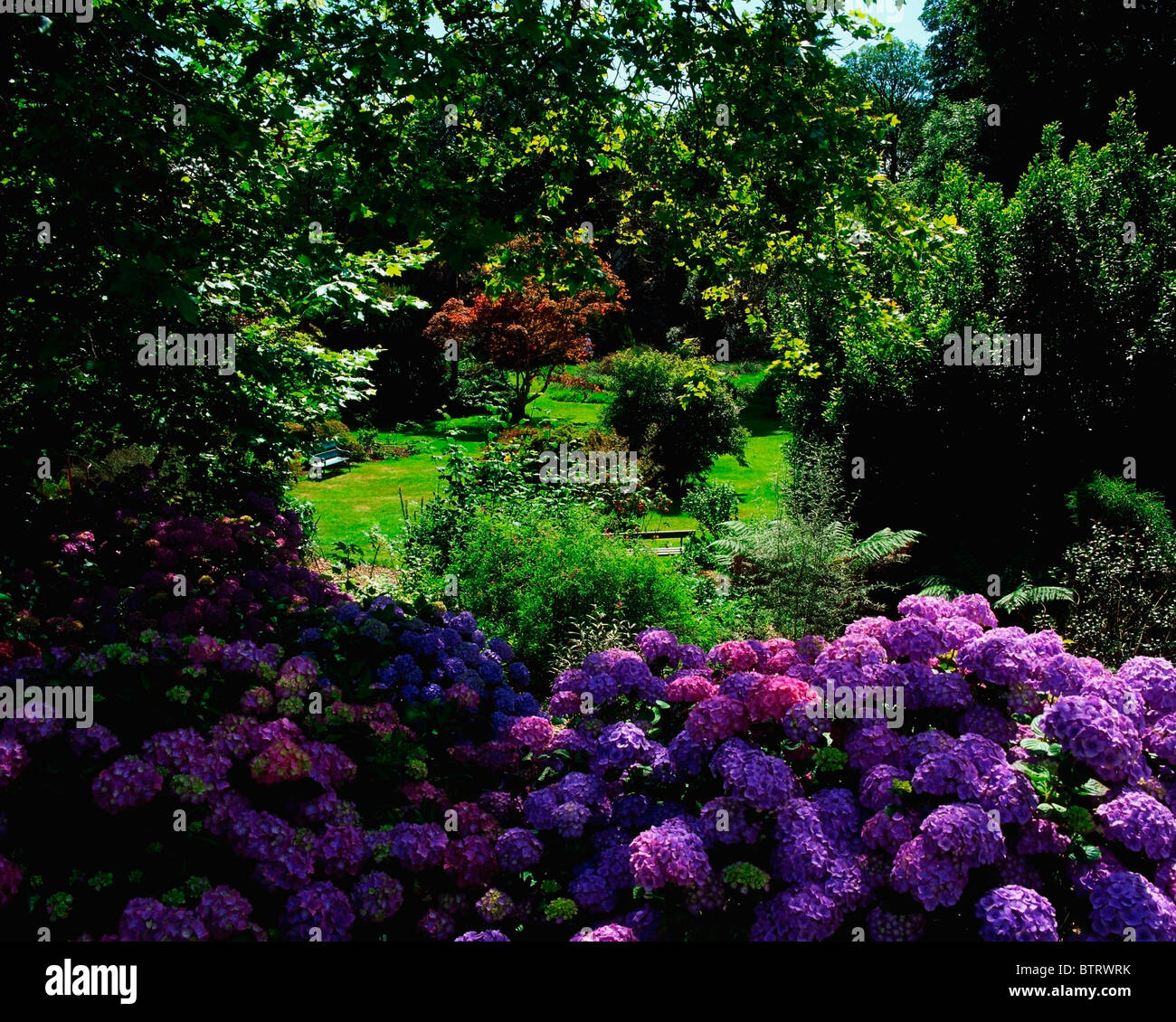 Creagh gardens skibbereen co cork hi-res stock photography and images ...