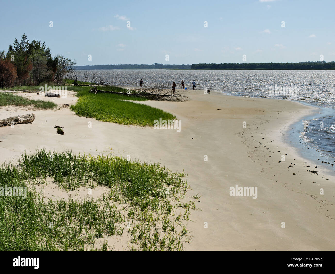 scenic landscape river view from shore looking down sandy each with ...