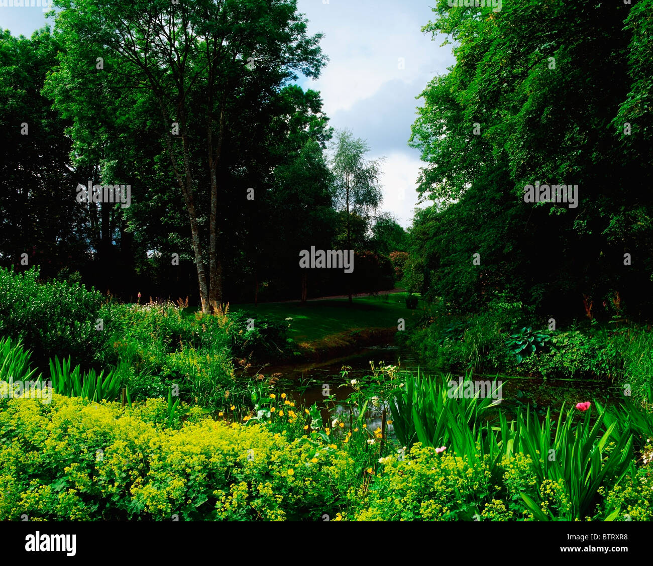 Carrigglas Manor, Co Longford, Ireland; Informal Planting Near The Lake ...