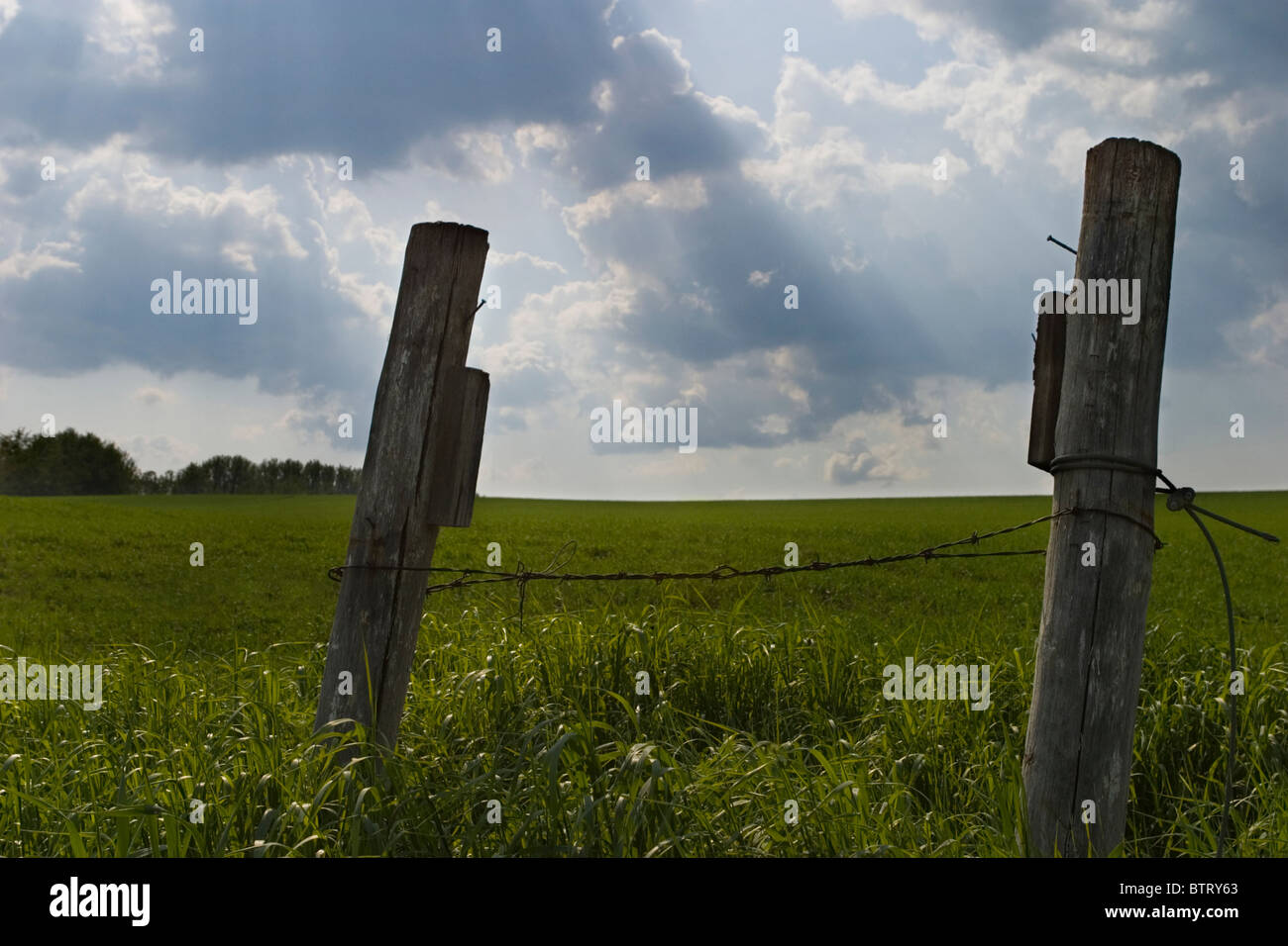 Fence posts with clouds in the background Stock Photo - Alamy