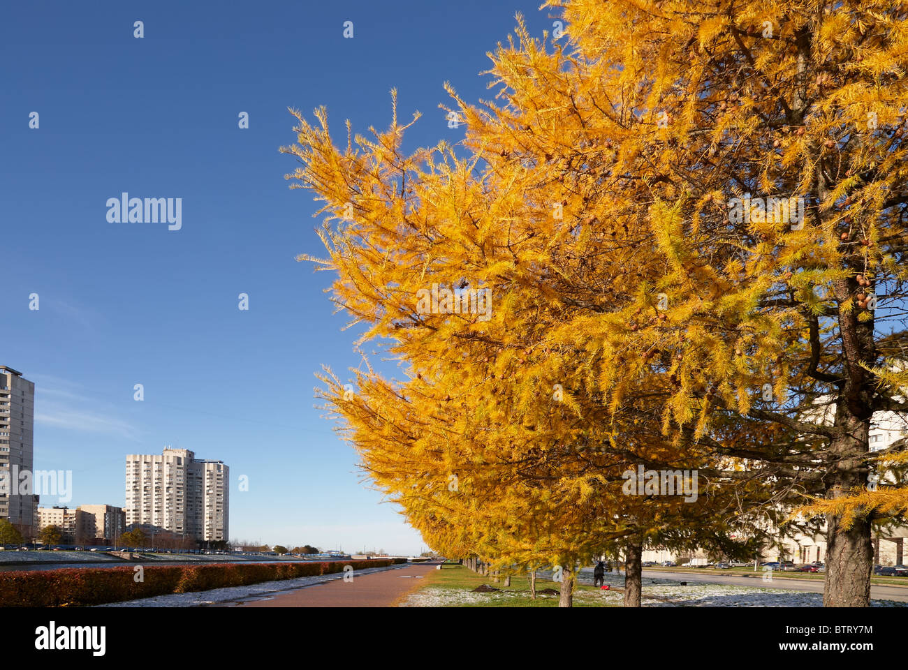 City cleanness hi-res stock photography and images - Alamy