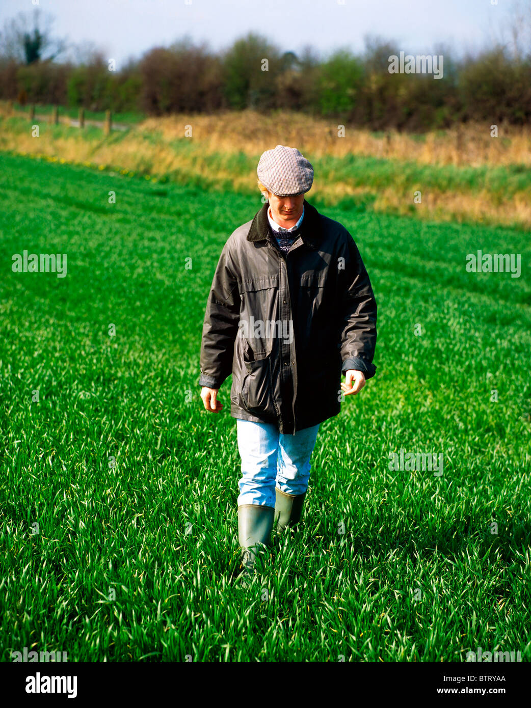 Ireland; Farmer Inspecting Grass Before Silage Stock Photo - Alamy