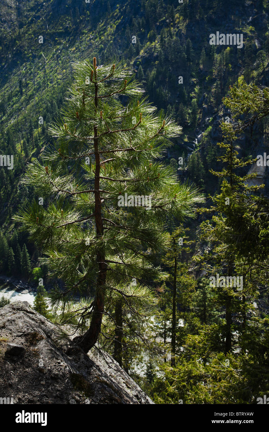 Canyon cascades hi-res stock photography and images - Alamy