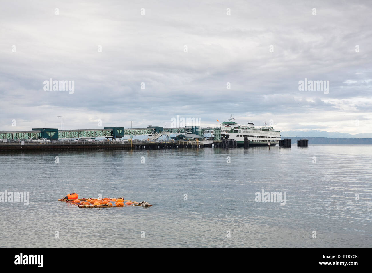 Floating pumpkin patch at Edmonds Underwater Park - Edmonds, Washington ...