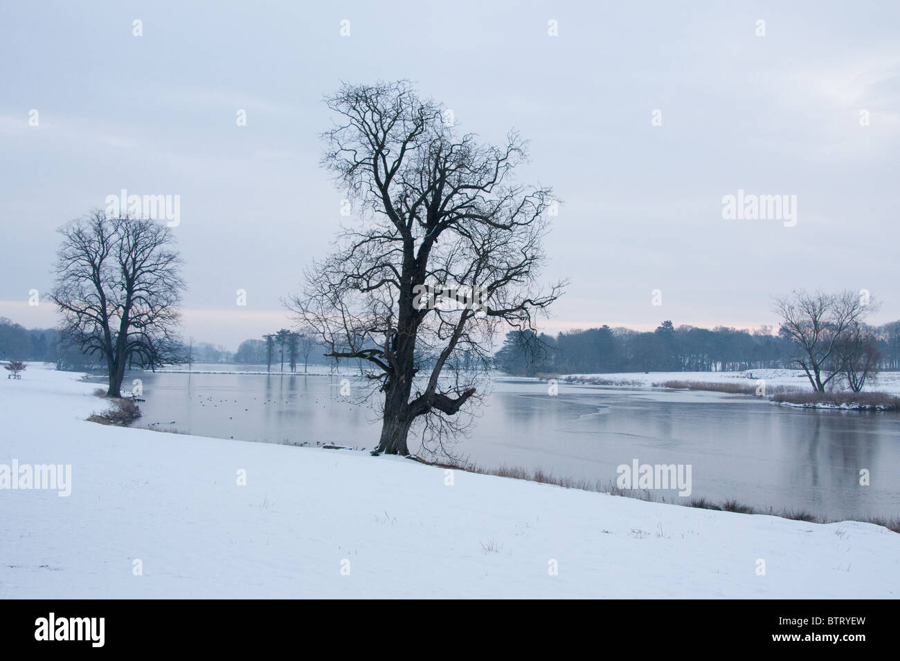 Lakeside Winter trees in snow covered countryside Stock Photo - Alamy