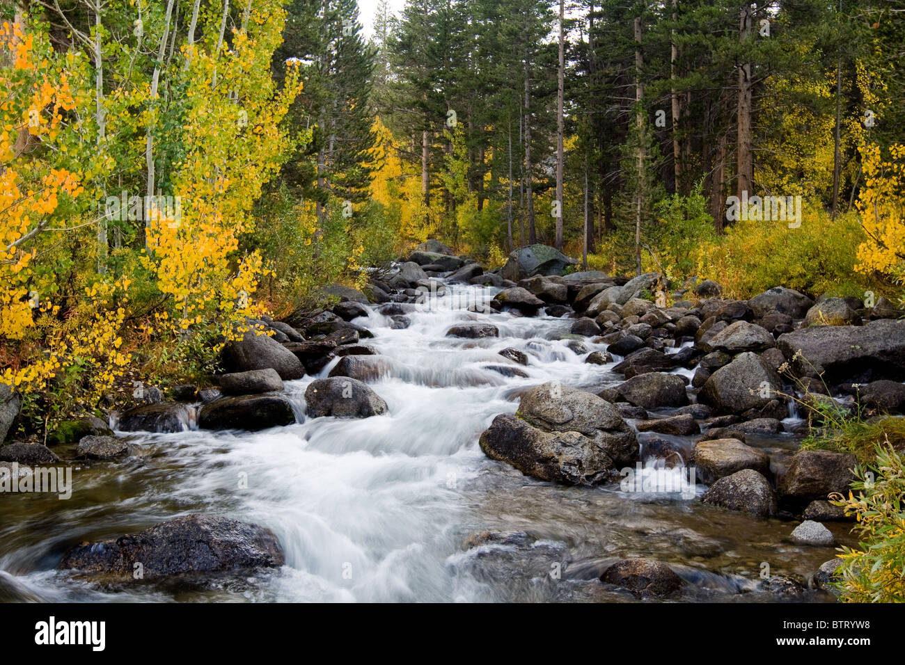 Fall colors, Bishop Creek Stock Photo - Alamy