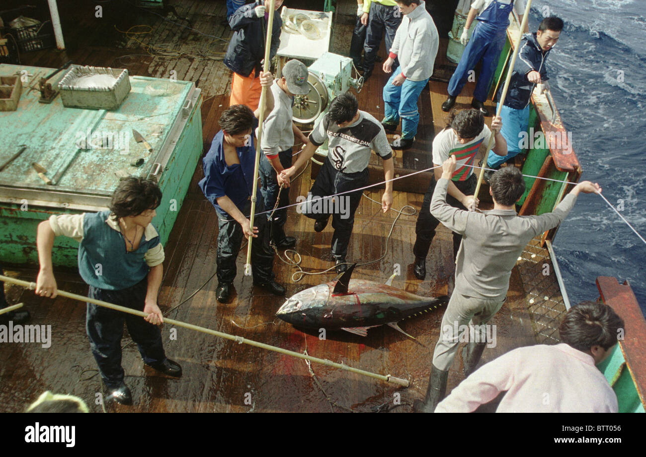 Illegal Asian long-liner boat fishing for tuna in the South Atlantic ...