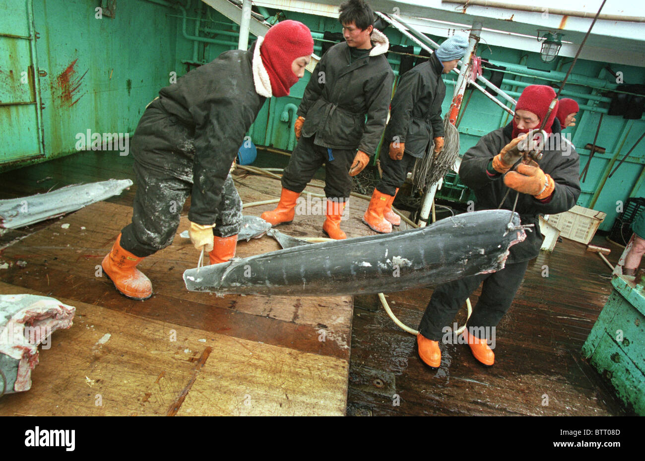 Illegal Asian long-liner boat fishing for tuna in the South Atlantic ...