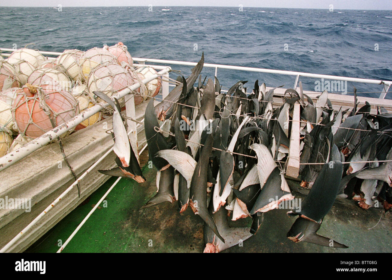 Illegal Asian long-liner boat fishing for tuna in the South Atlantic ...