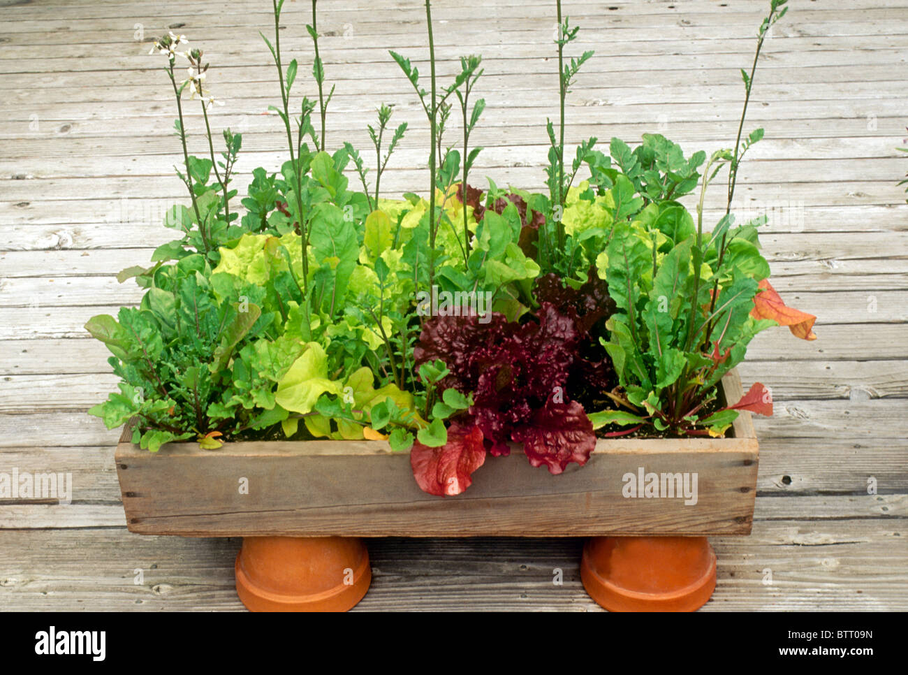 Portable planters hi-res stock photography and images - Alamy