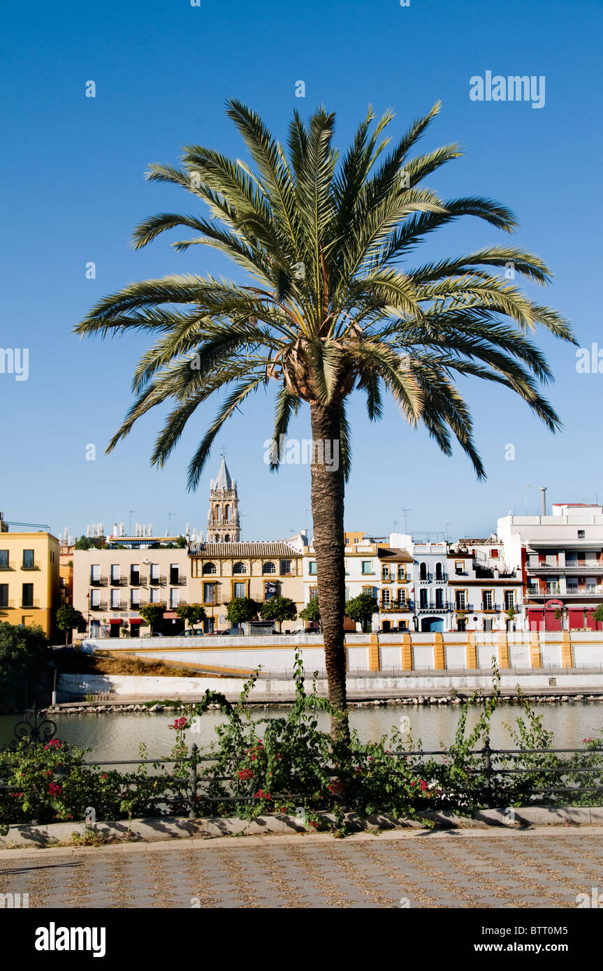 Triana seville spain hi-res stock photography and images - Alamy