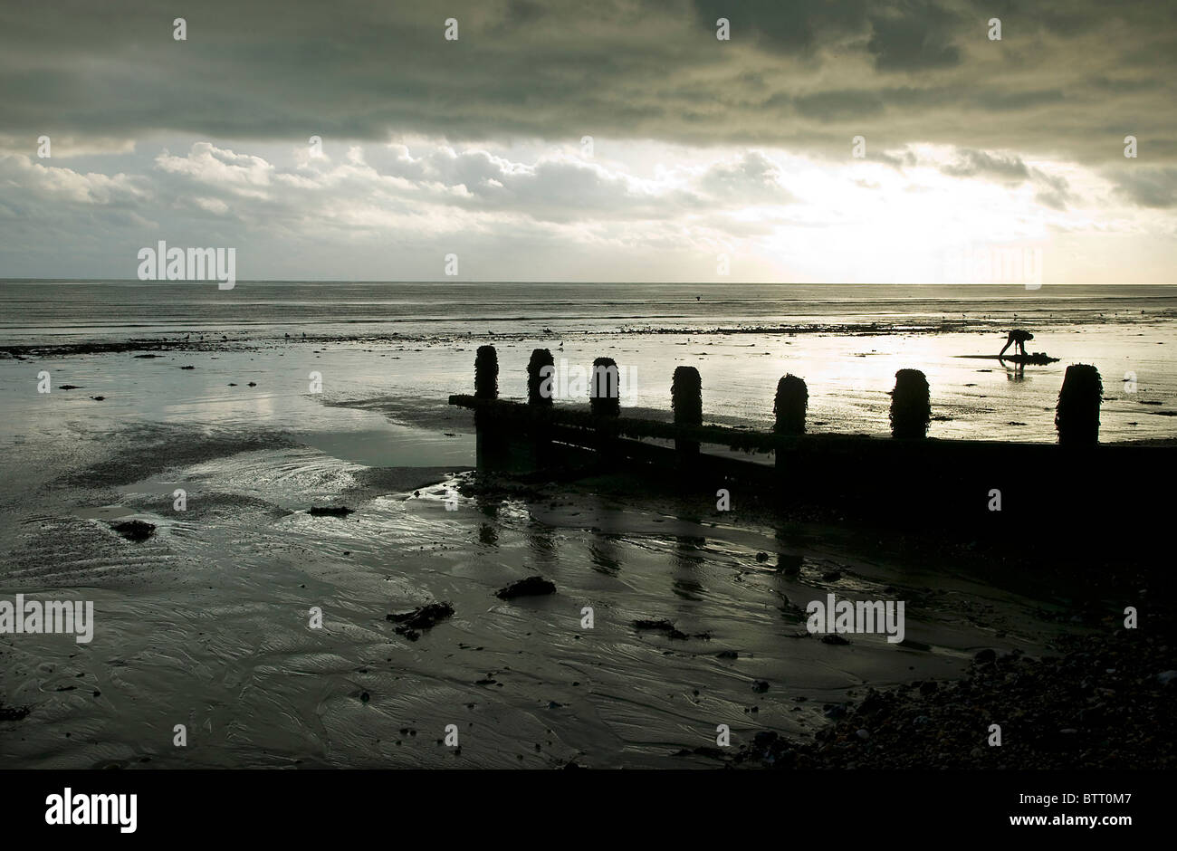 Bait digging beach hi-res stock photography and images - Alamy