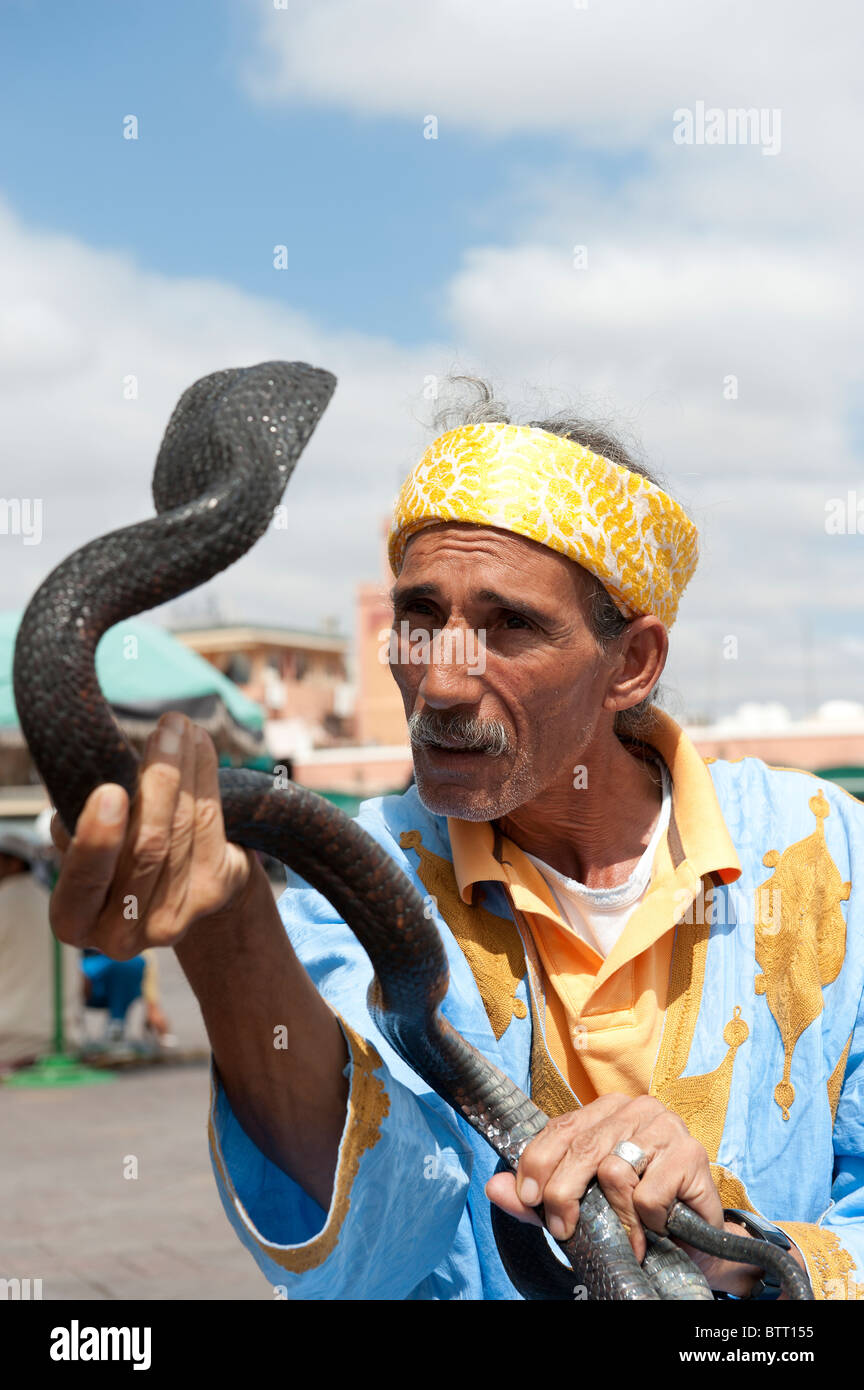 Snake Charmer with Cobra Marrakech Morocco North Africa Stock Photo - Alamy