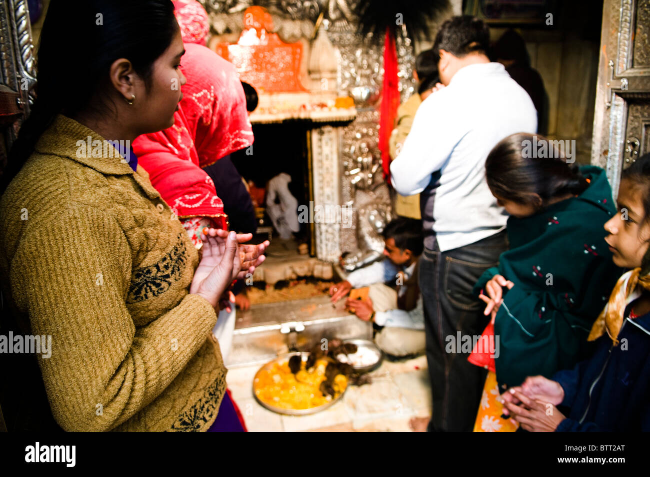 A Hindu puja with Rats at the bizarre Karni Mata Rat temple in Deshnok ...