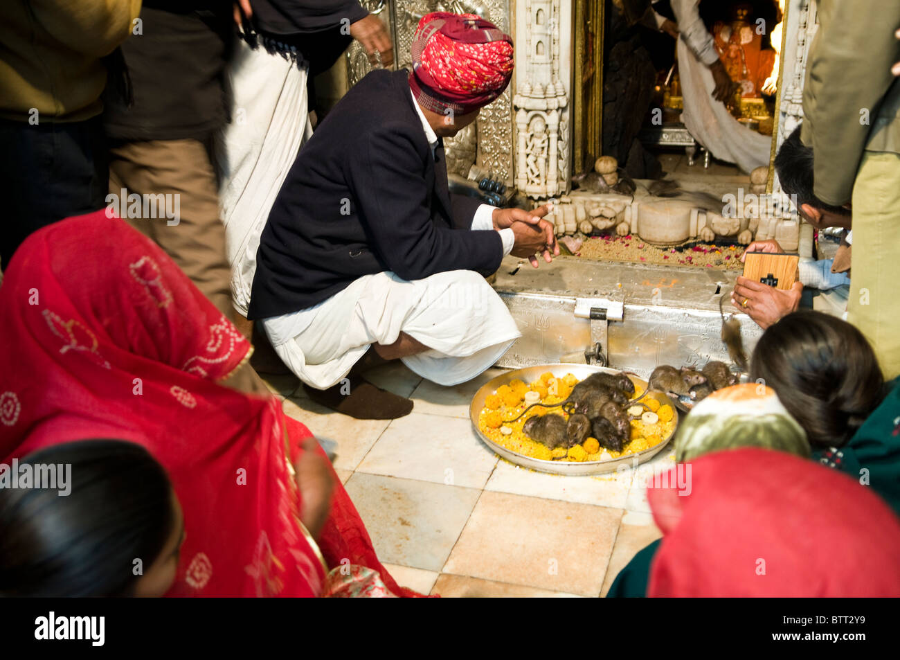 A Hindu puja with Rats at the bizarre Karni Mata Rat temple in Deshnok ...