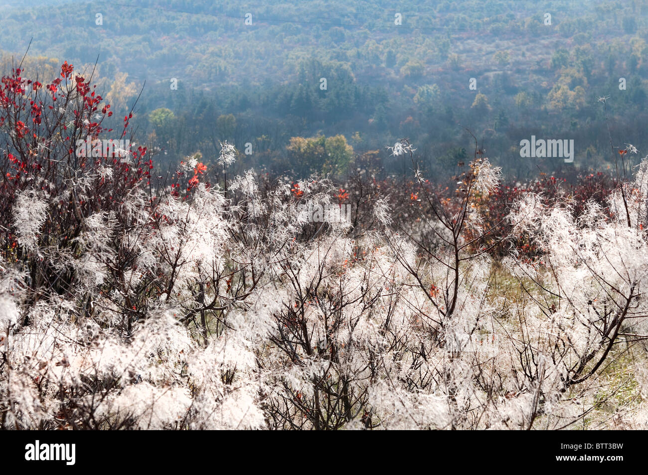 Karstic landscape hi-res stock photography and images - Alamy