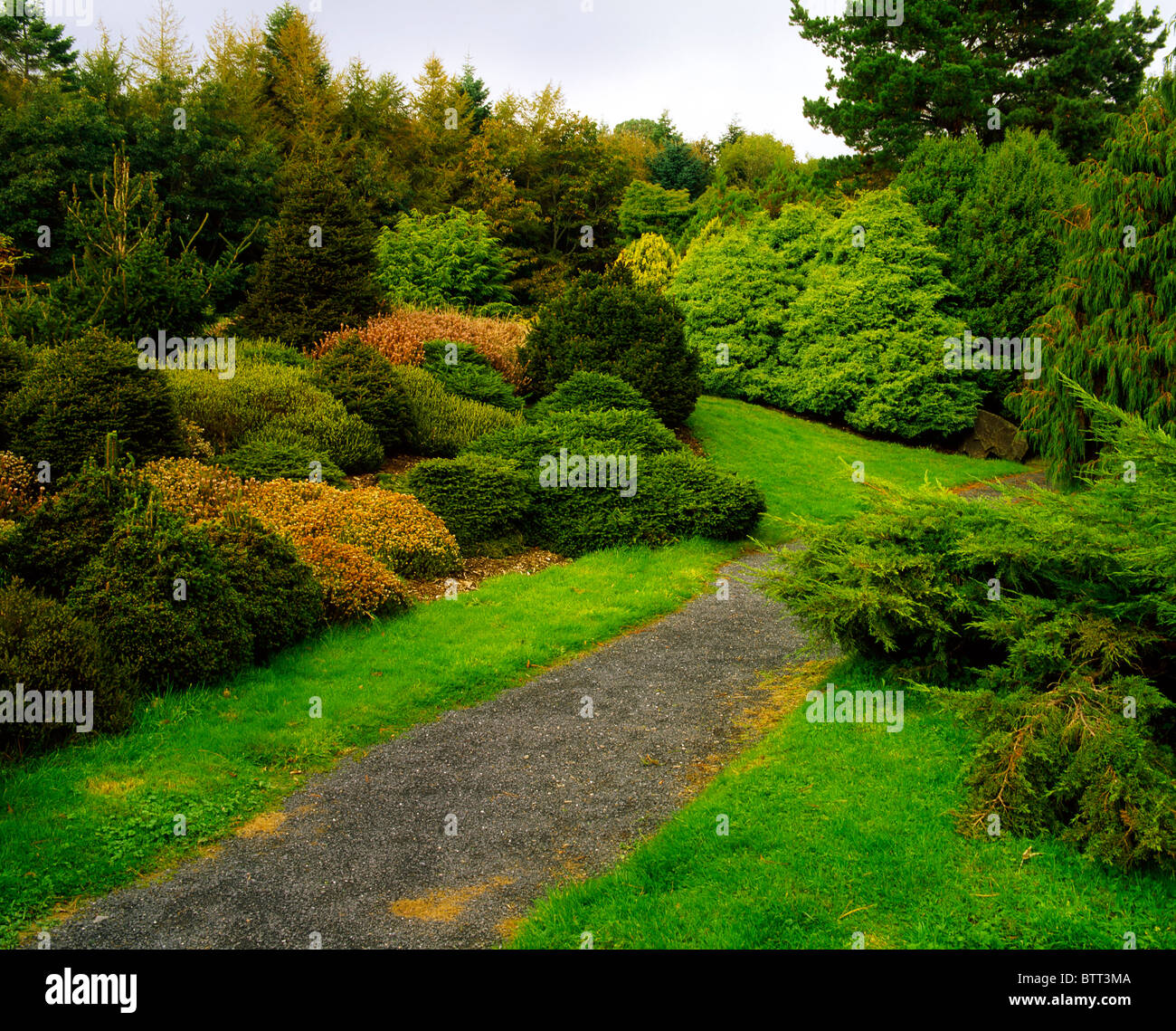John F. Kennedy Arboretum, New Ross, Co Wexford, Ireland Stock Photo ...