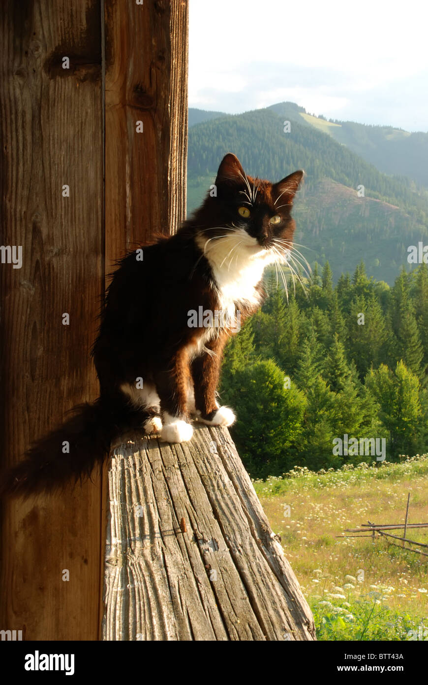 Village Life in Mountains Stock Photo - Alamy