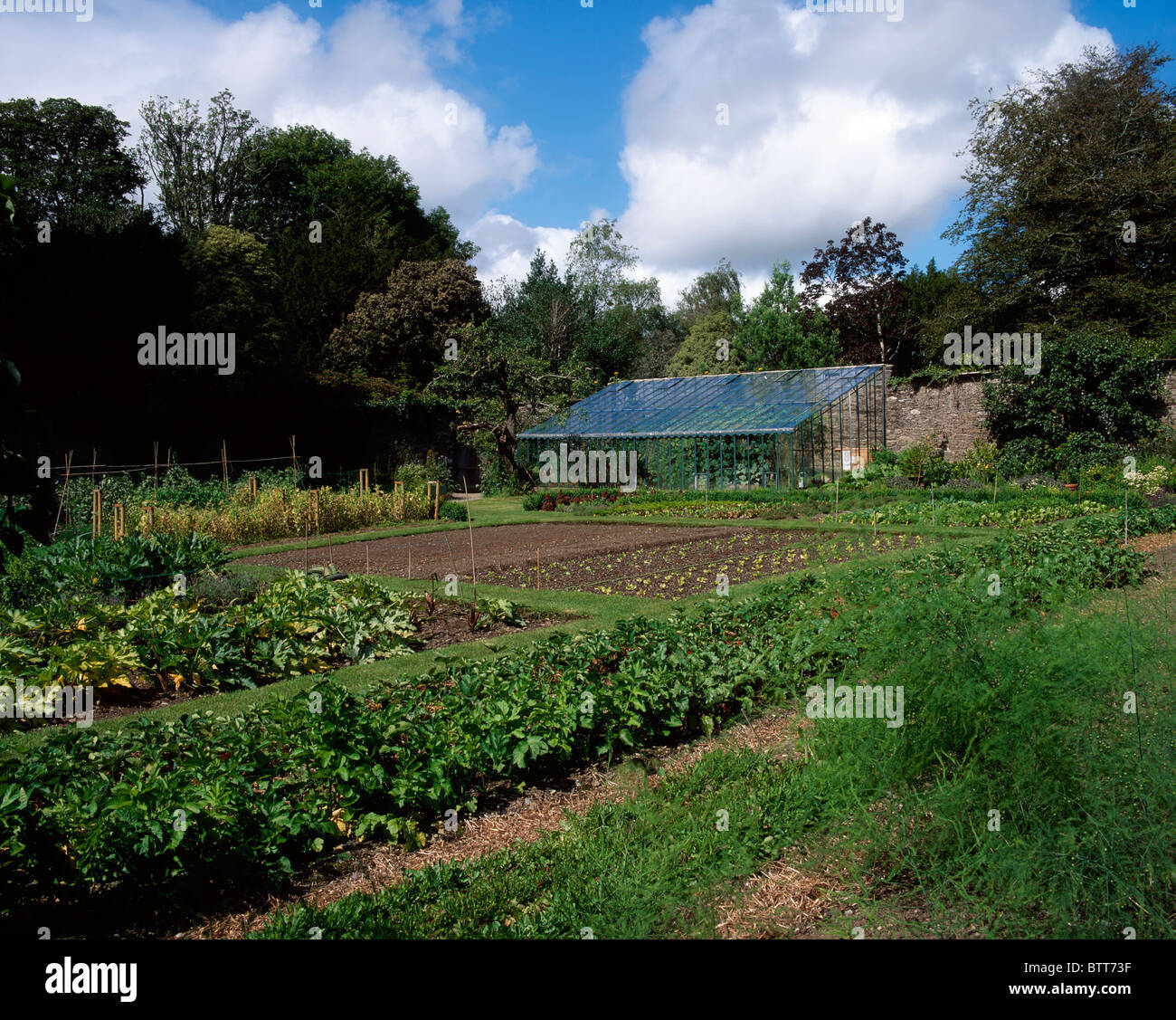 Creagh, Skibbereen, Co Cork, Ireland, Vegetable Beds In A Walled Garden ...