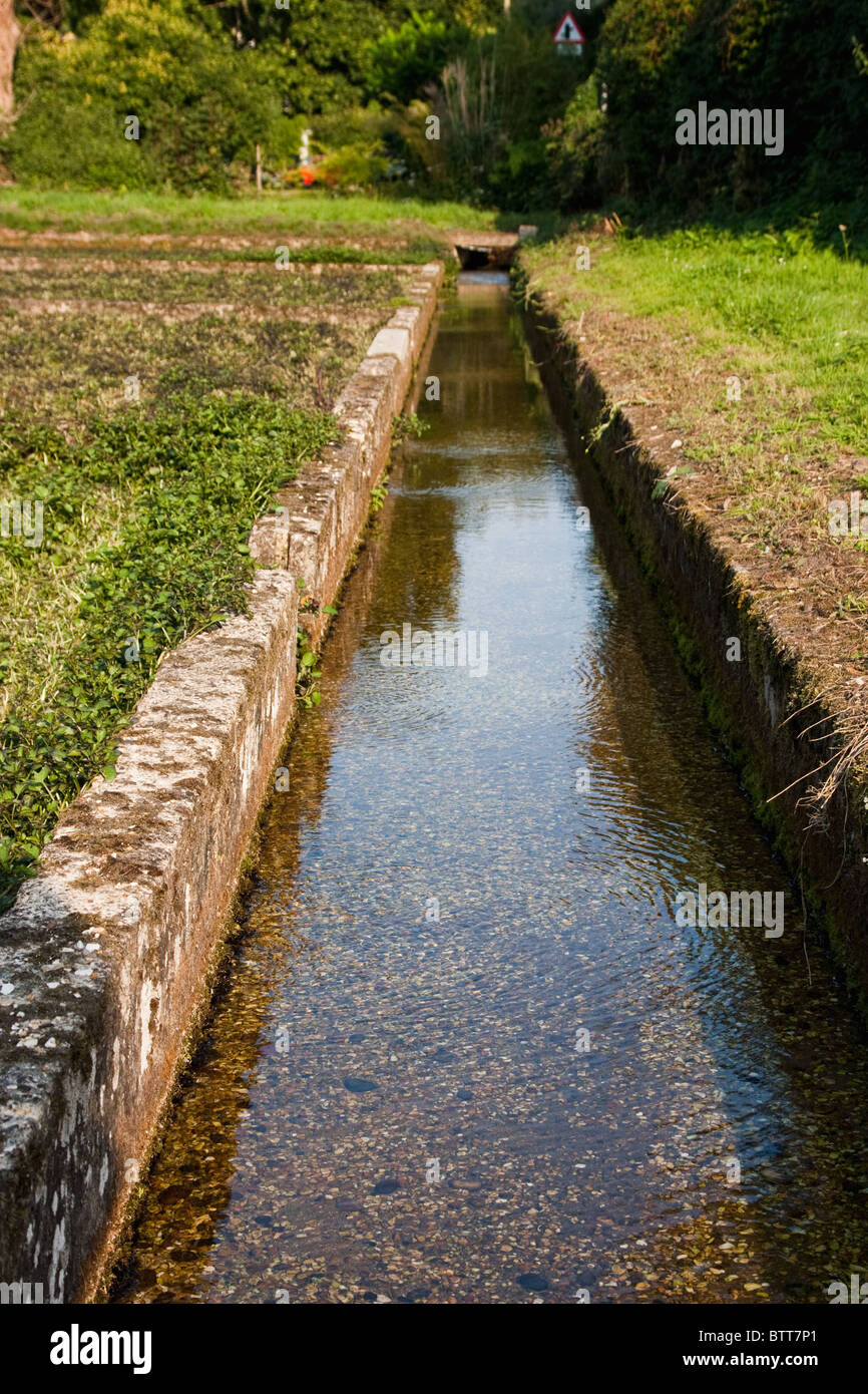 watercress field in hampshire england in summer 2010 Stock Photo - Alamy