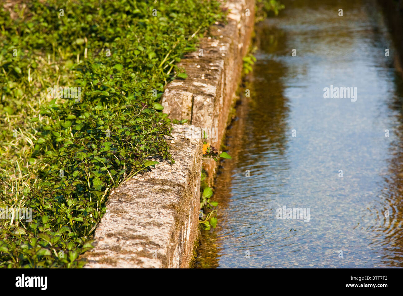 Watercress field england hampshire hi-res stock photography and images ...