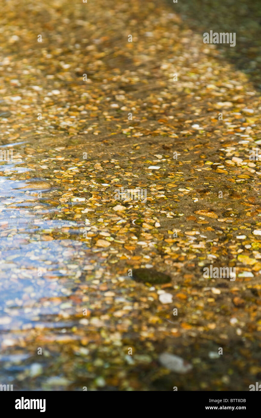 Watercress field england hampshire hi-res stock photography and images ...