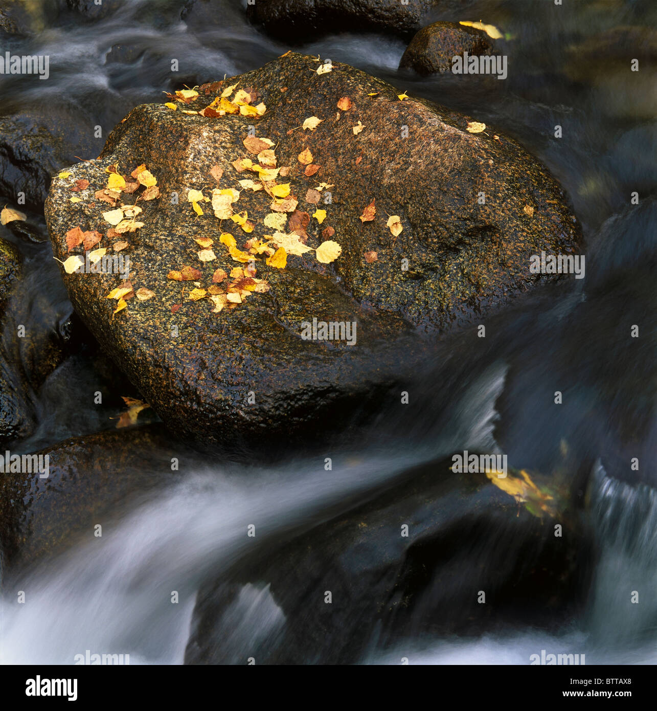 Chiri river hi-res stock photography and images - Alamy