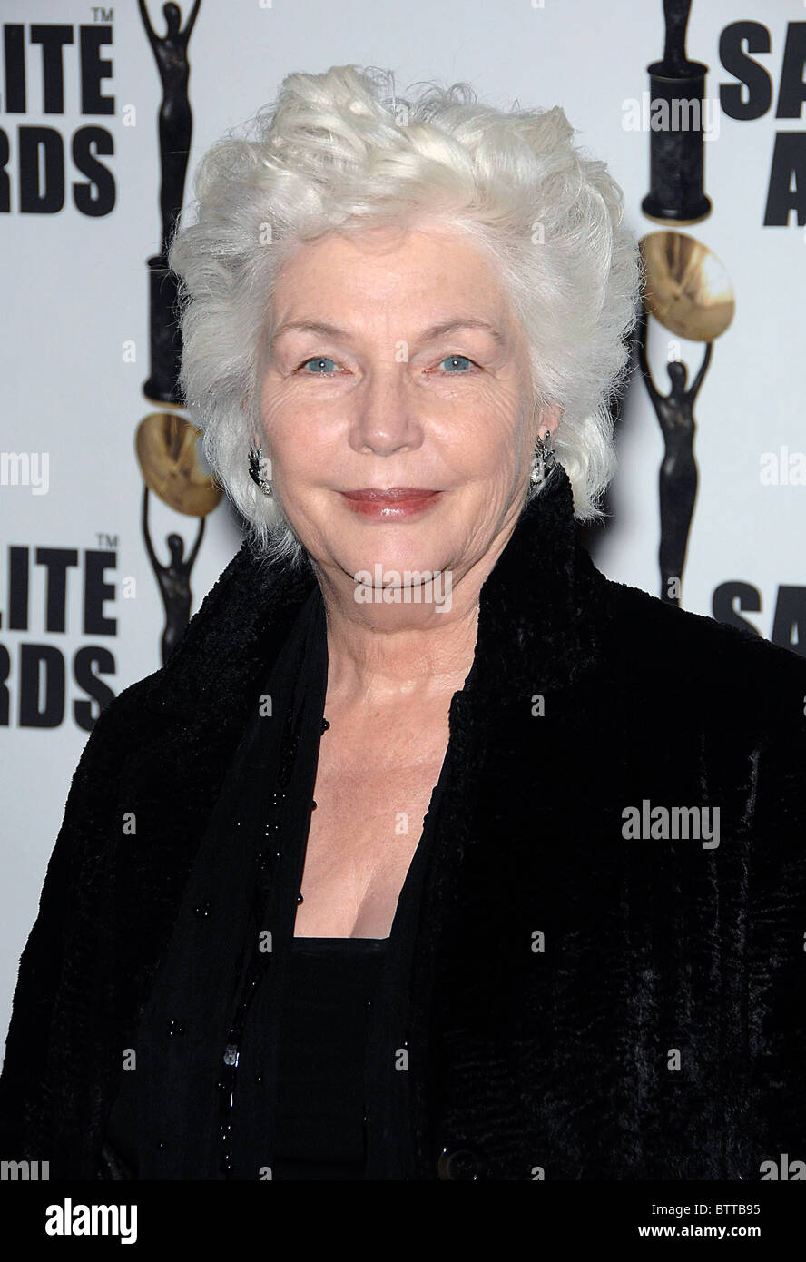 International Press Academy's 14th Annual Satellite Awards Stock Photo ...