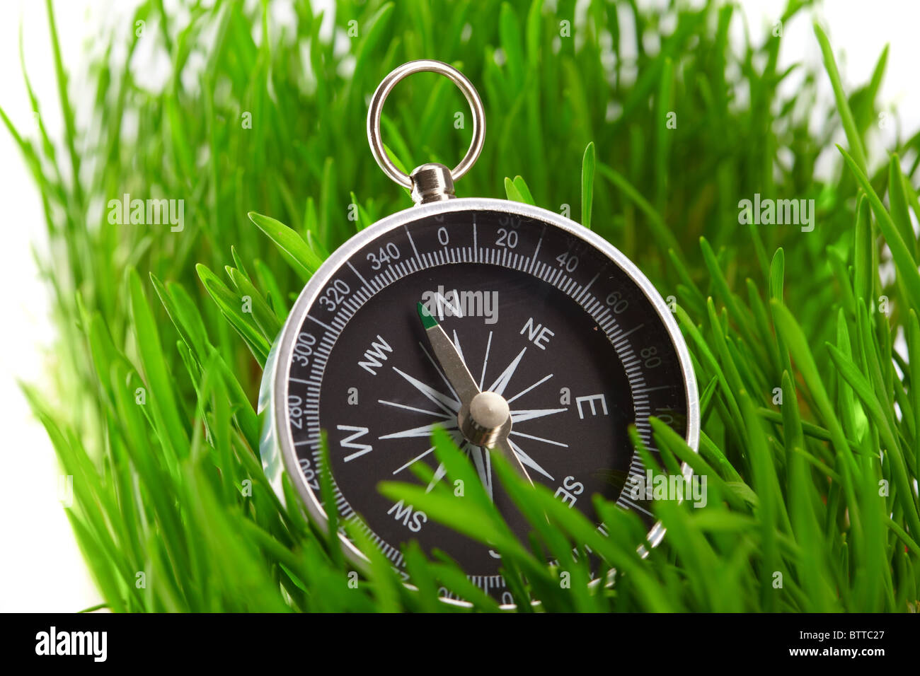 compass in green grass Stock Photo - Alamy