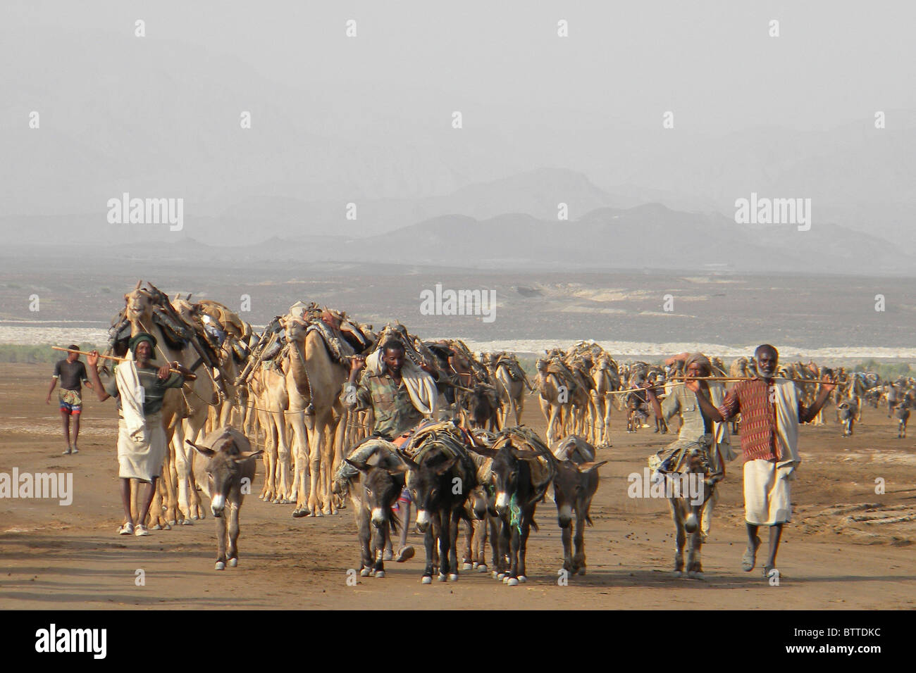Afar people, Danakil, Ethiopia Stock Photo - Alamy