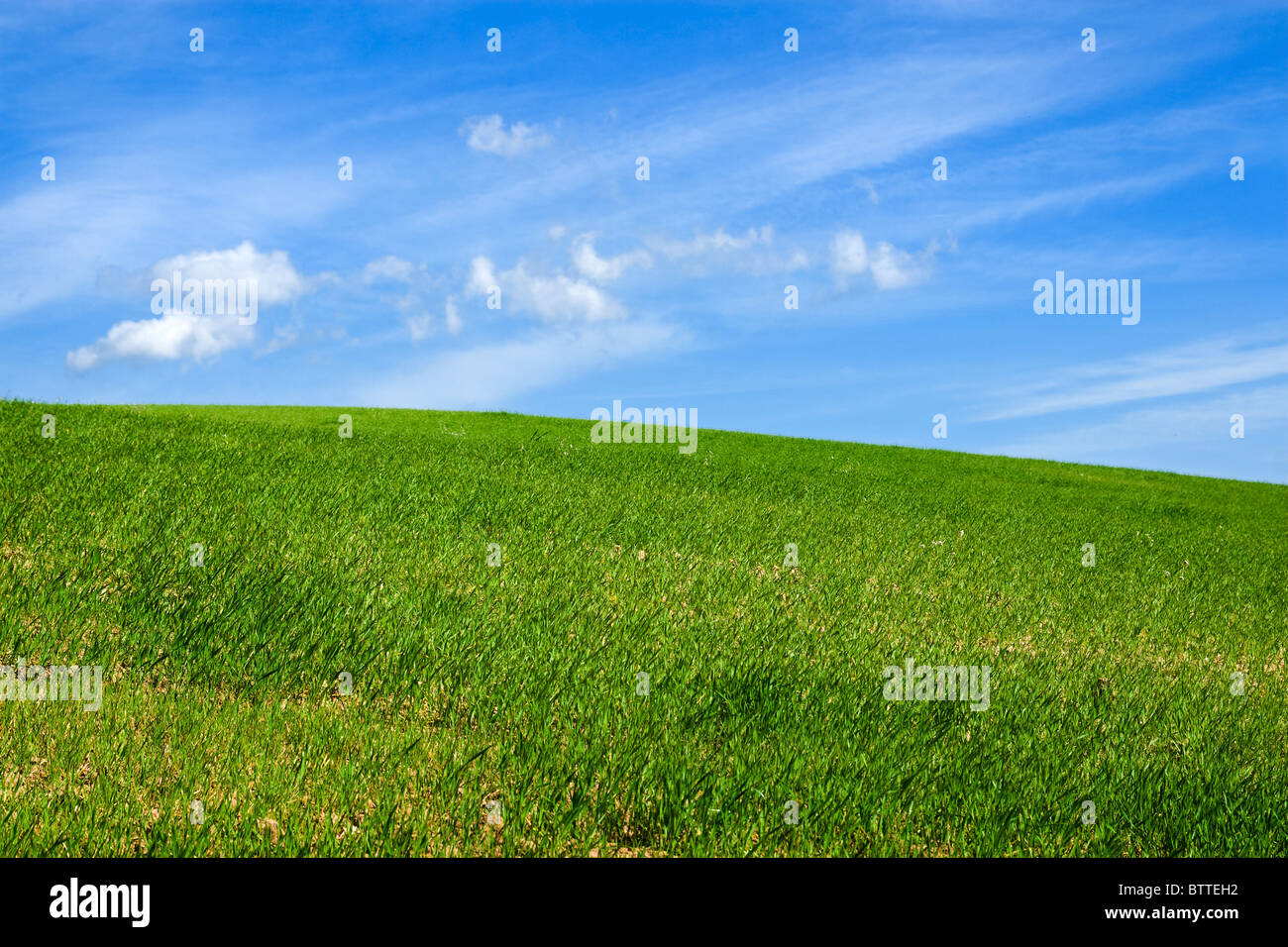 Green field with blue sky and clouds in the background Stock Photo - Alamy