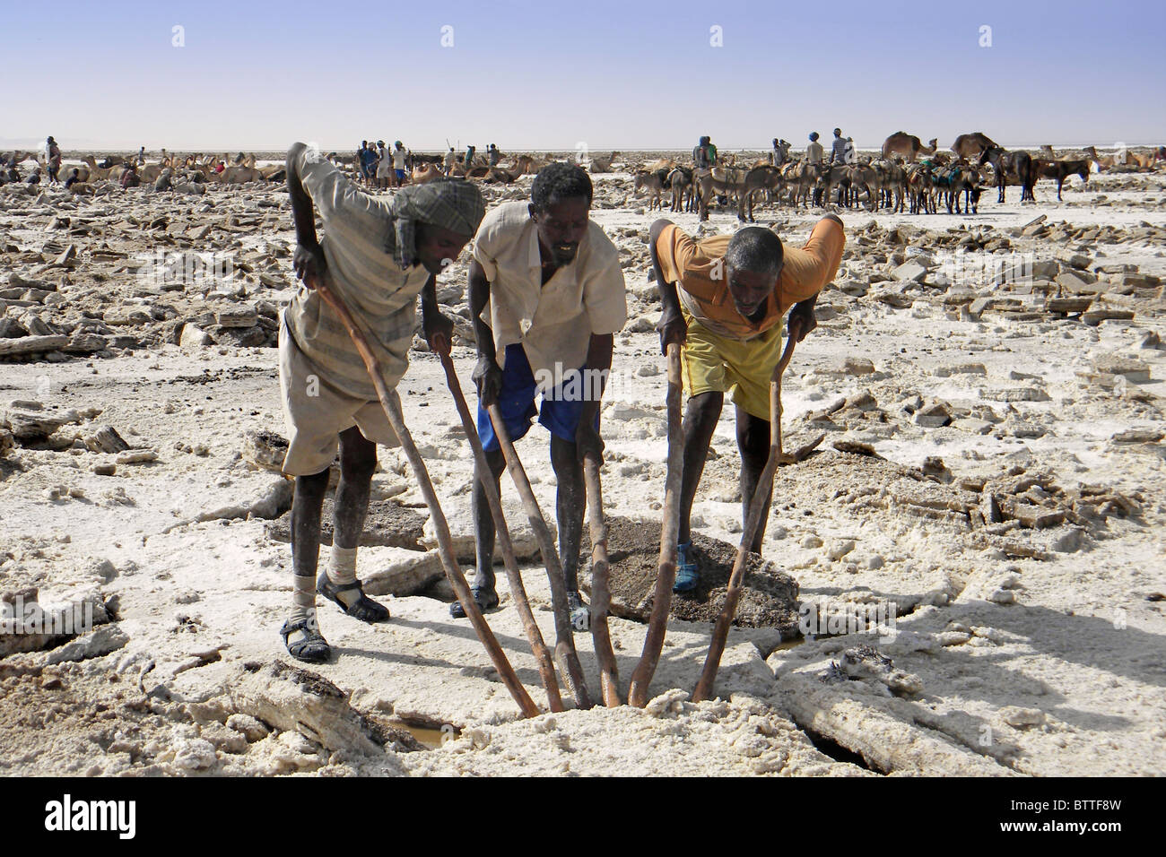 Afar people, Danakil, Ethiopia Stock Photo - Alamy