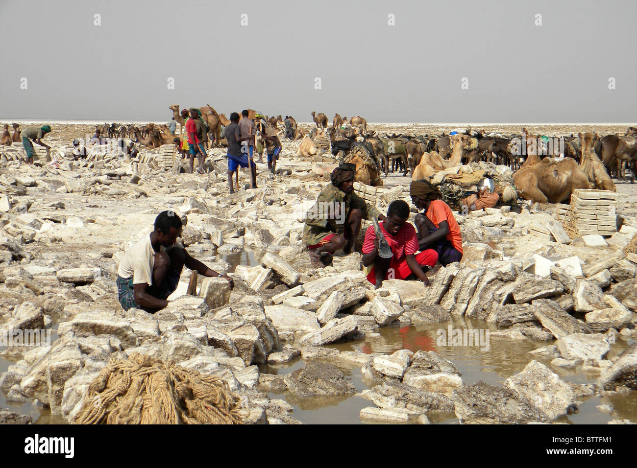 Afar people, Danakil, Ethiopia Stock Photo - Alamy