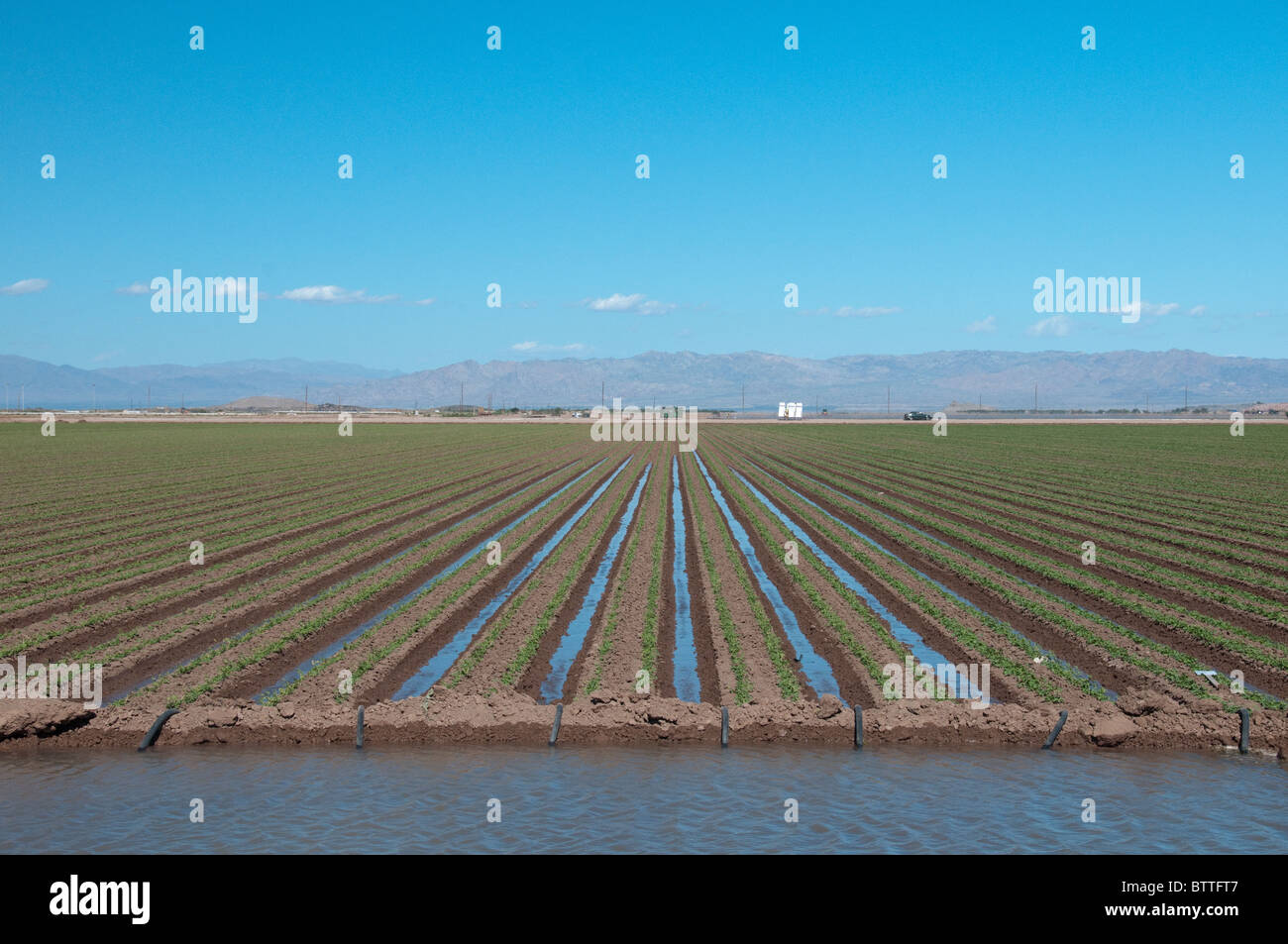 California farm irrigation hi-res stock photography and images - Alamy